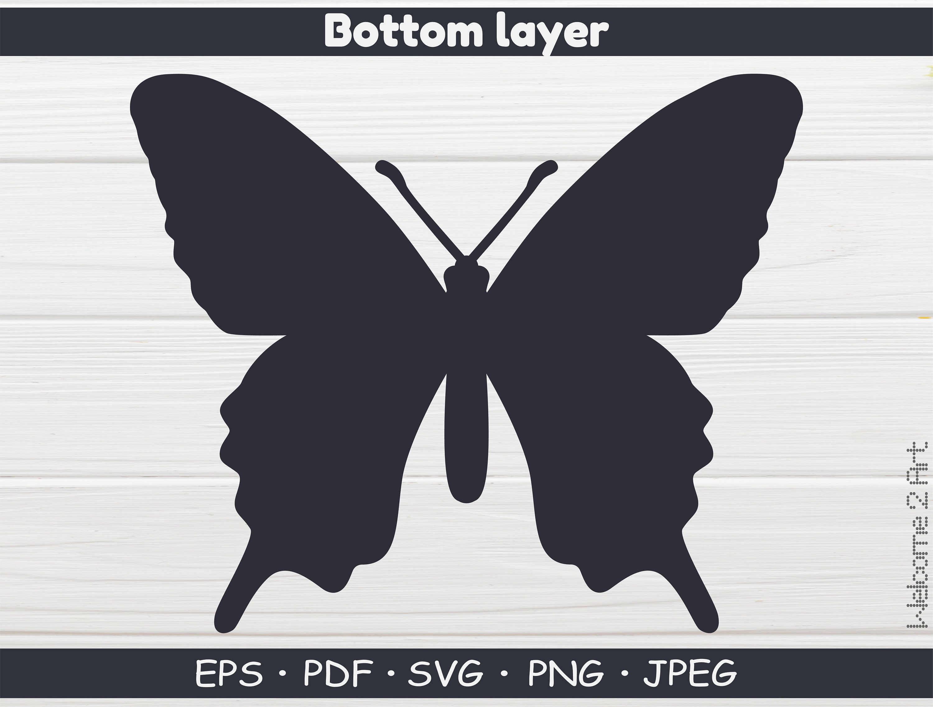 Butterfly SVG Cricut, Cut Files, Svg Files, Butterfly Svg Silhouette ...