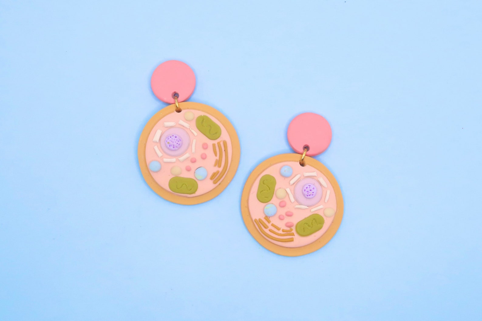 BACK TO SCHOOL Cell Diagram Science Teacher Clay Earrings - Etsy