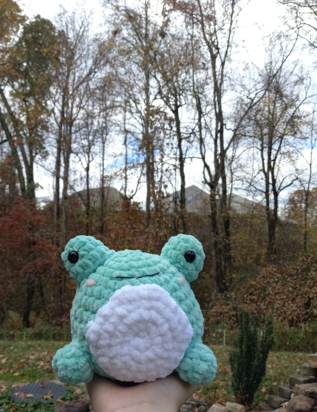 Crochet Derpy Frog - Etsy