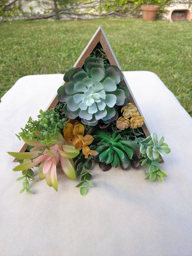 Succulent Terrarium Triangle Shadow Box Succulent Terrarium - Etsy