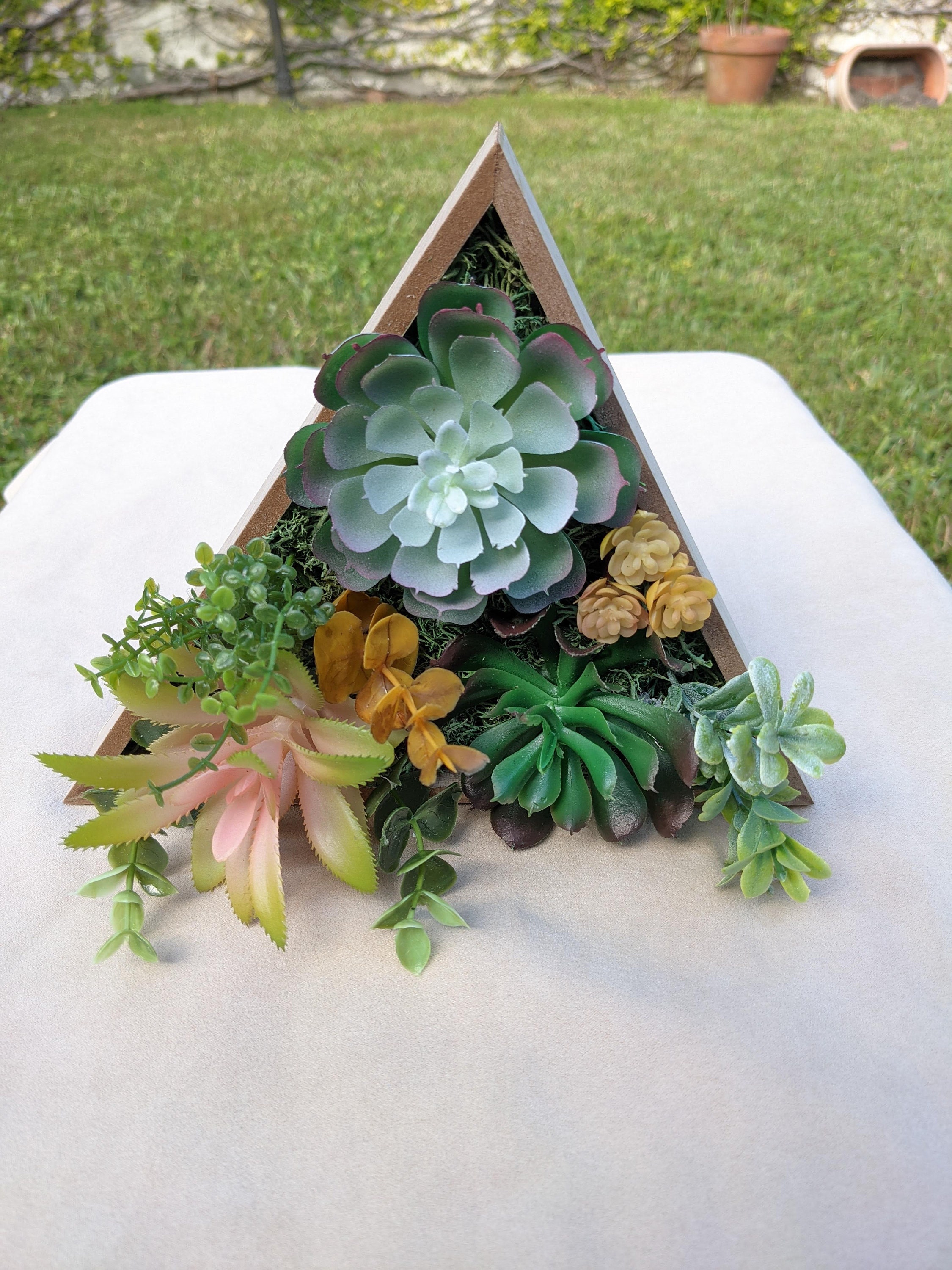 Succulent Terrarium Triangle Shadow Box Succulent Terrarium - Etsy