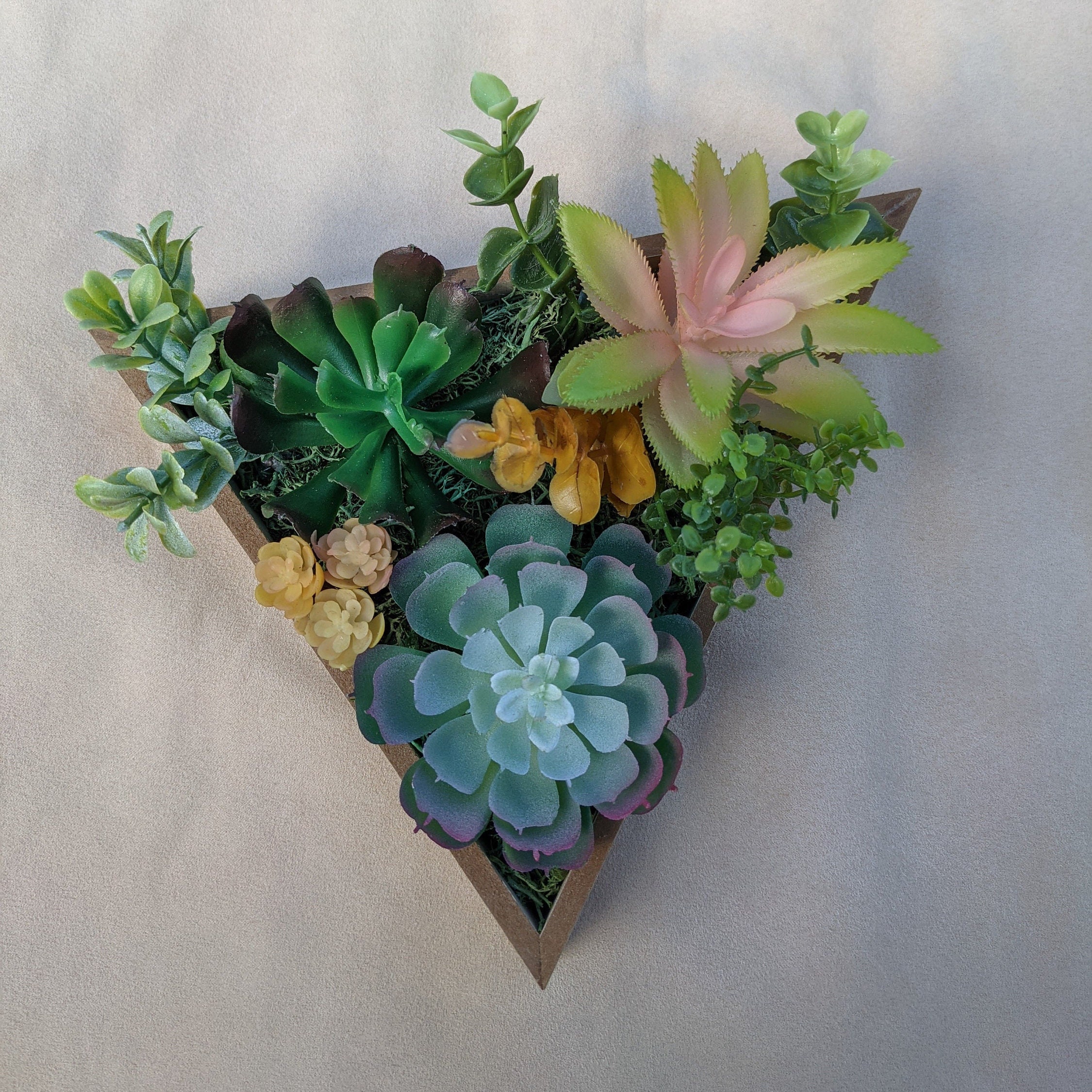 Succulent Terrarium Triangle Shadow Box Succulent Terrarium - Etsy