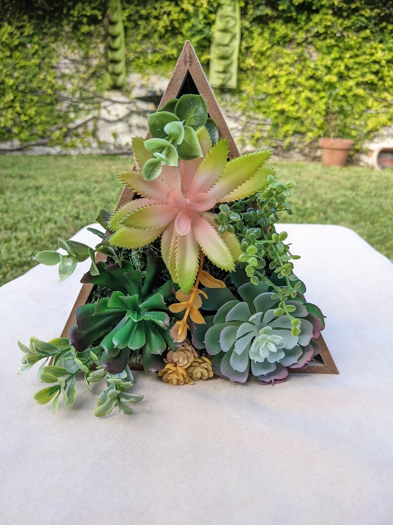 Succulent Terrarium Triangle Shadow Box Succulent Terrarium - Etsy