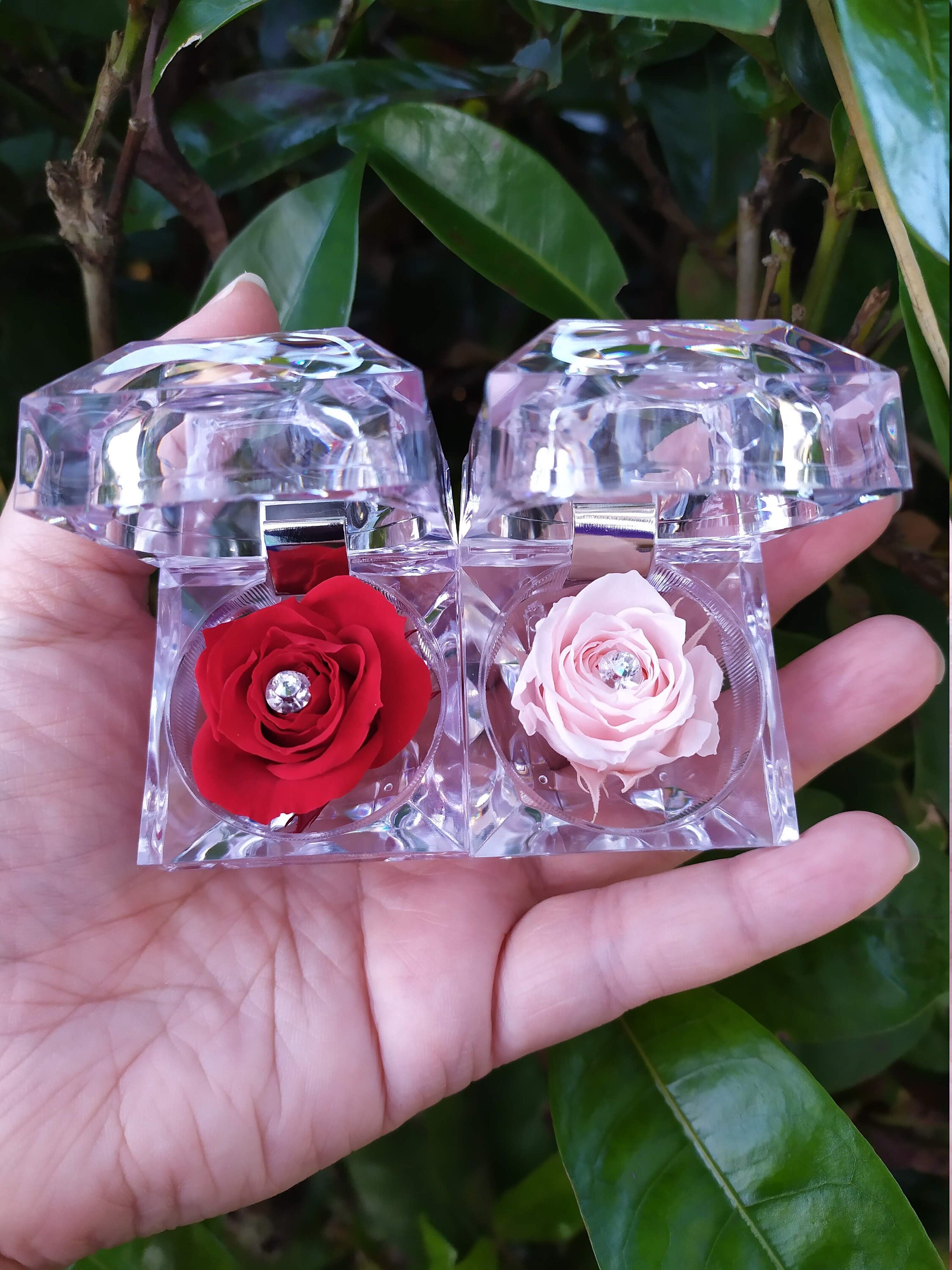 Miniature Preserved Rose Ring Box Mini Eternity Rose Mini - Etsy.de