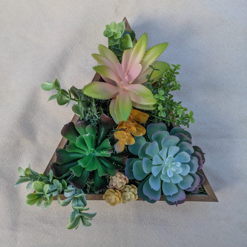 Succulent Terrarium Triangle Shadow Box Succulent Terrarium - Etsy