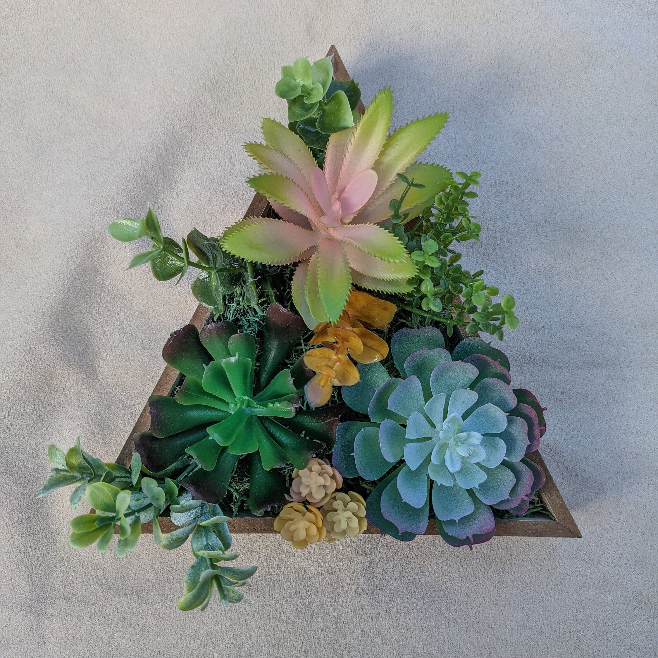 Succulent Terrarium Triangle Shadow Box Succulent Terrarium - Etsy
