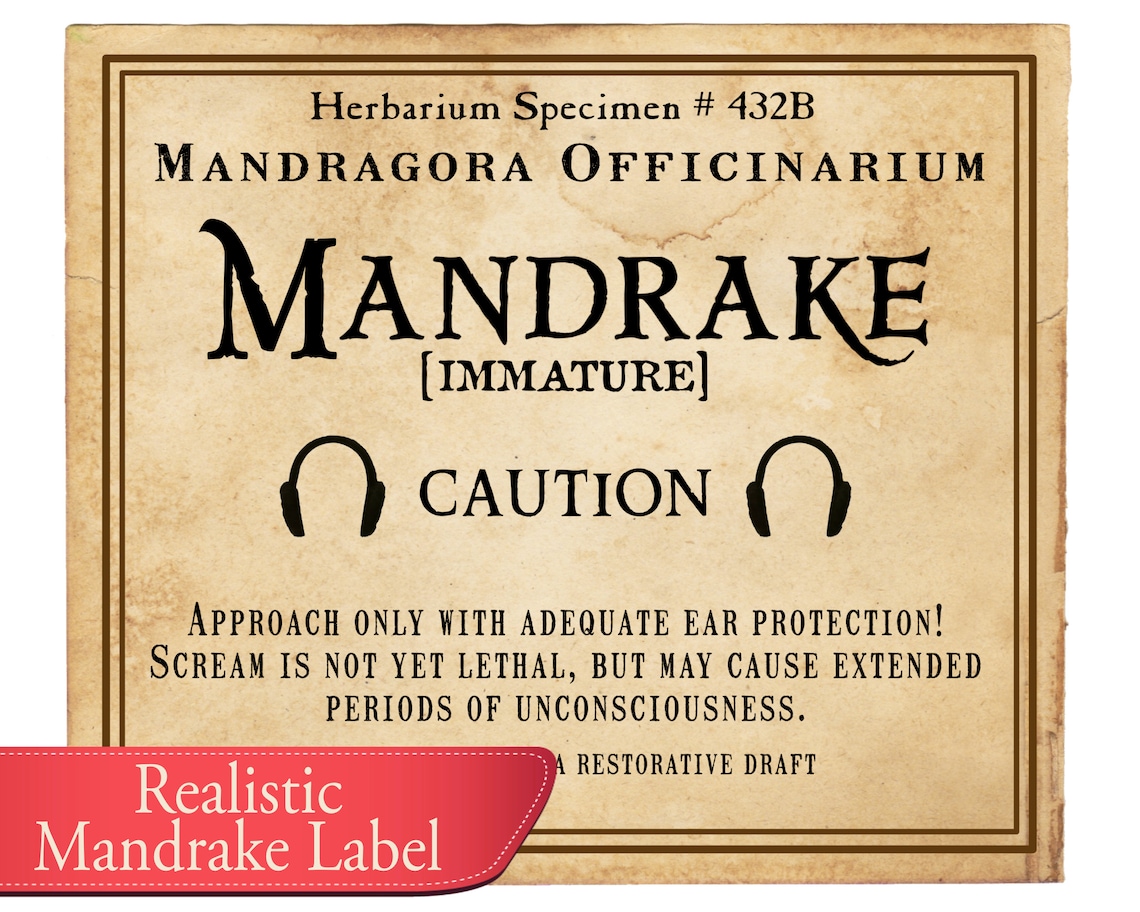 Realistic Mandrake Label Printable Sticker Prop Potter - Etsy