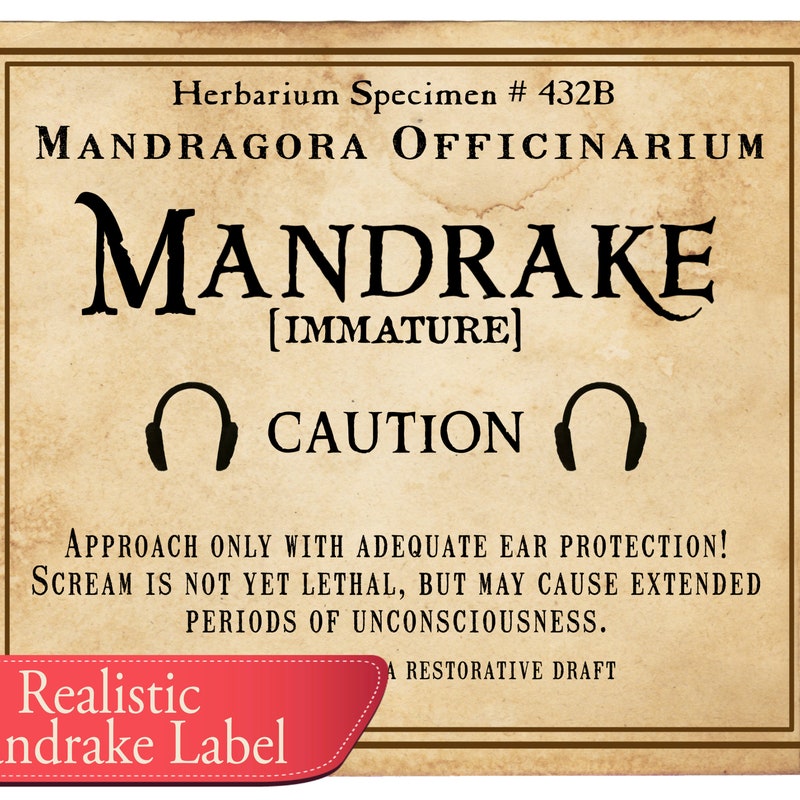 Printable Halloween Stickers Png - Etsy