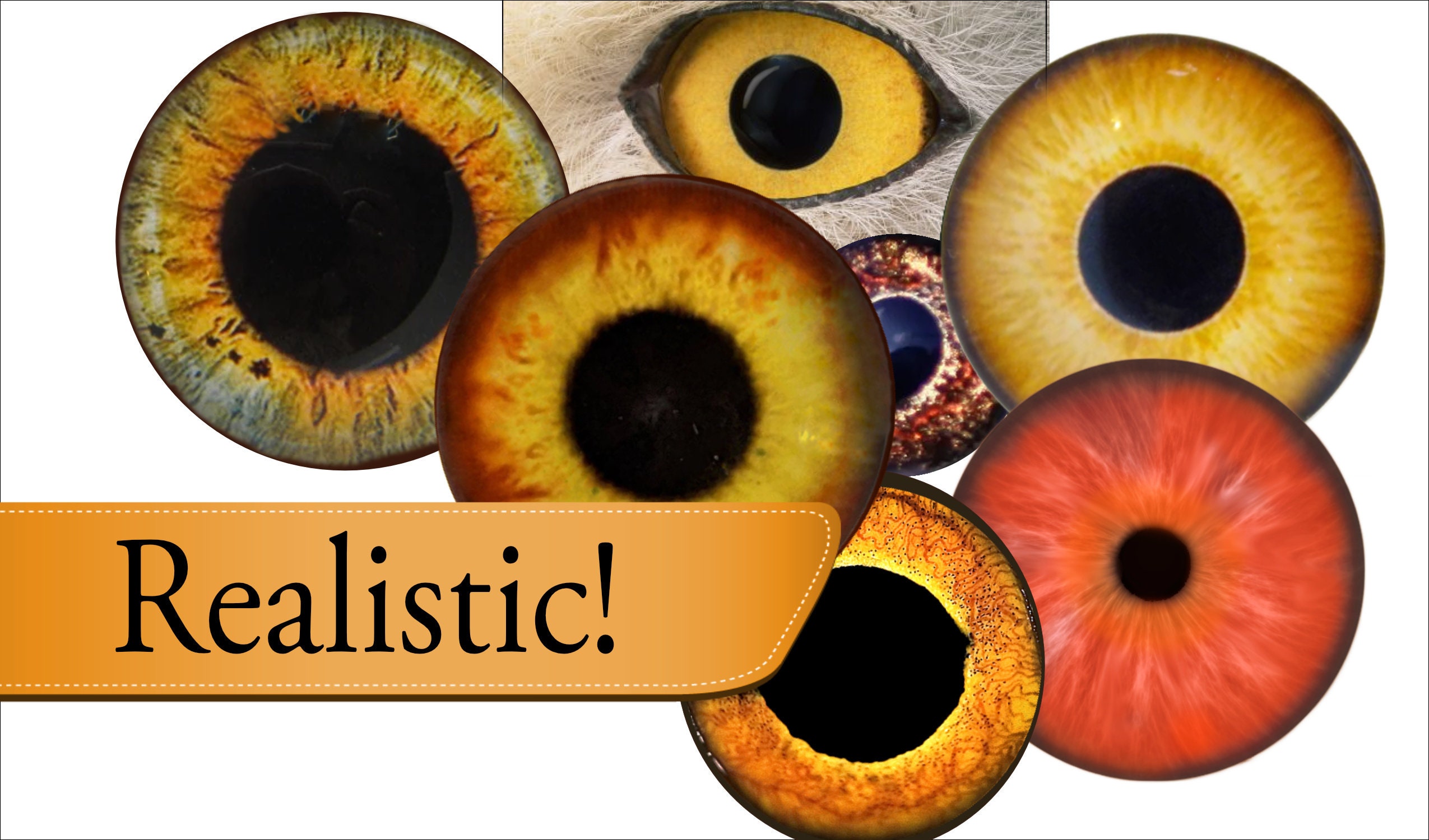 Printable Eyes Realistic Irises Bird Eyes Animal Monster - Etsy