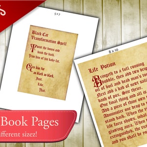 Realistic Hocus Pocus Life Potion Ingredient Lables, Printable - Etsy