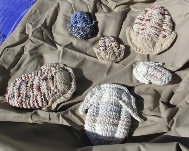 Trilobite Knitting Patterns (3 Sizes) - Etsy