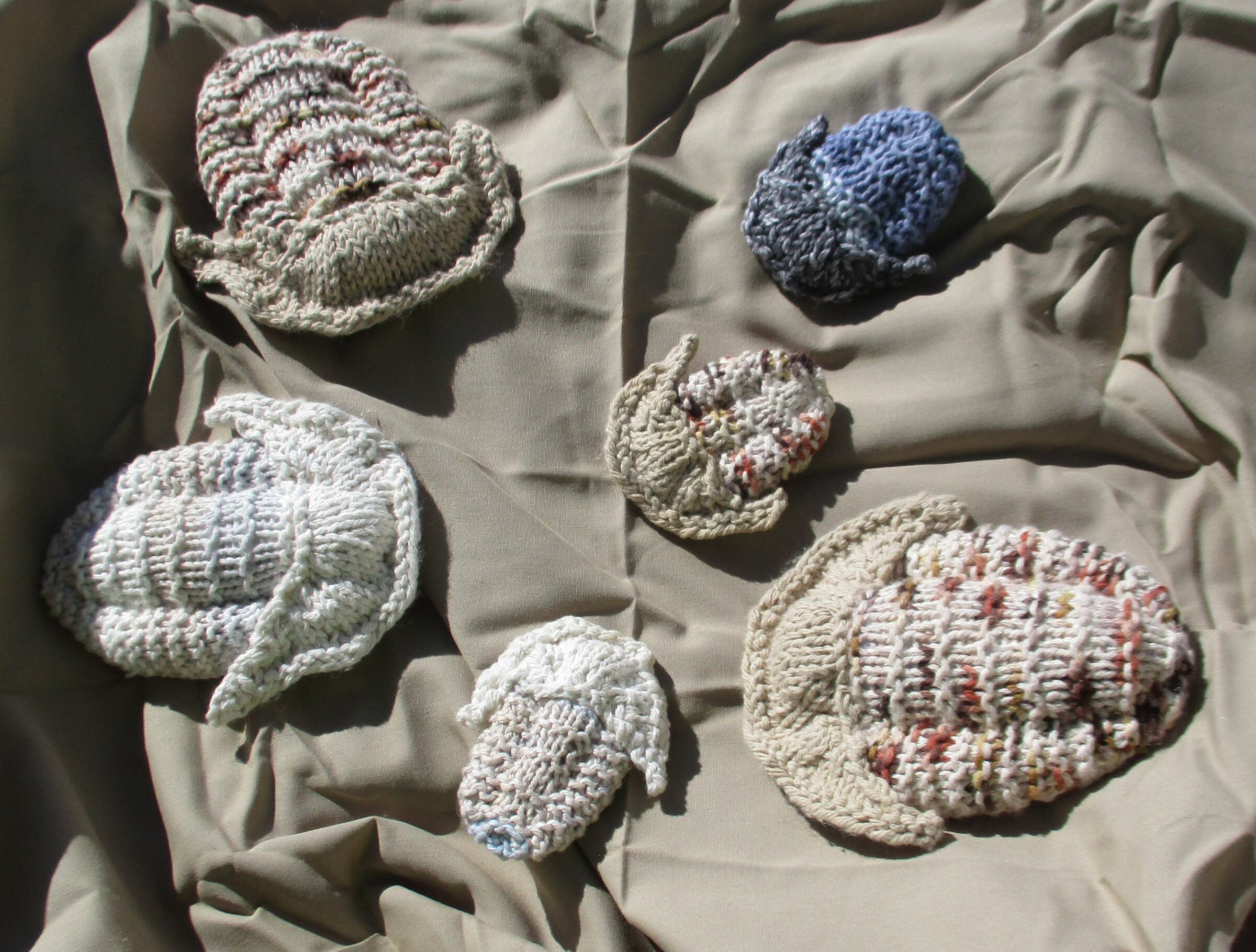 Trilobite Knitting Patterns (3 Sizes) - Etsy