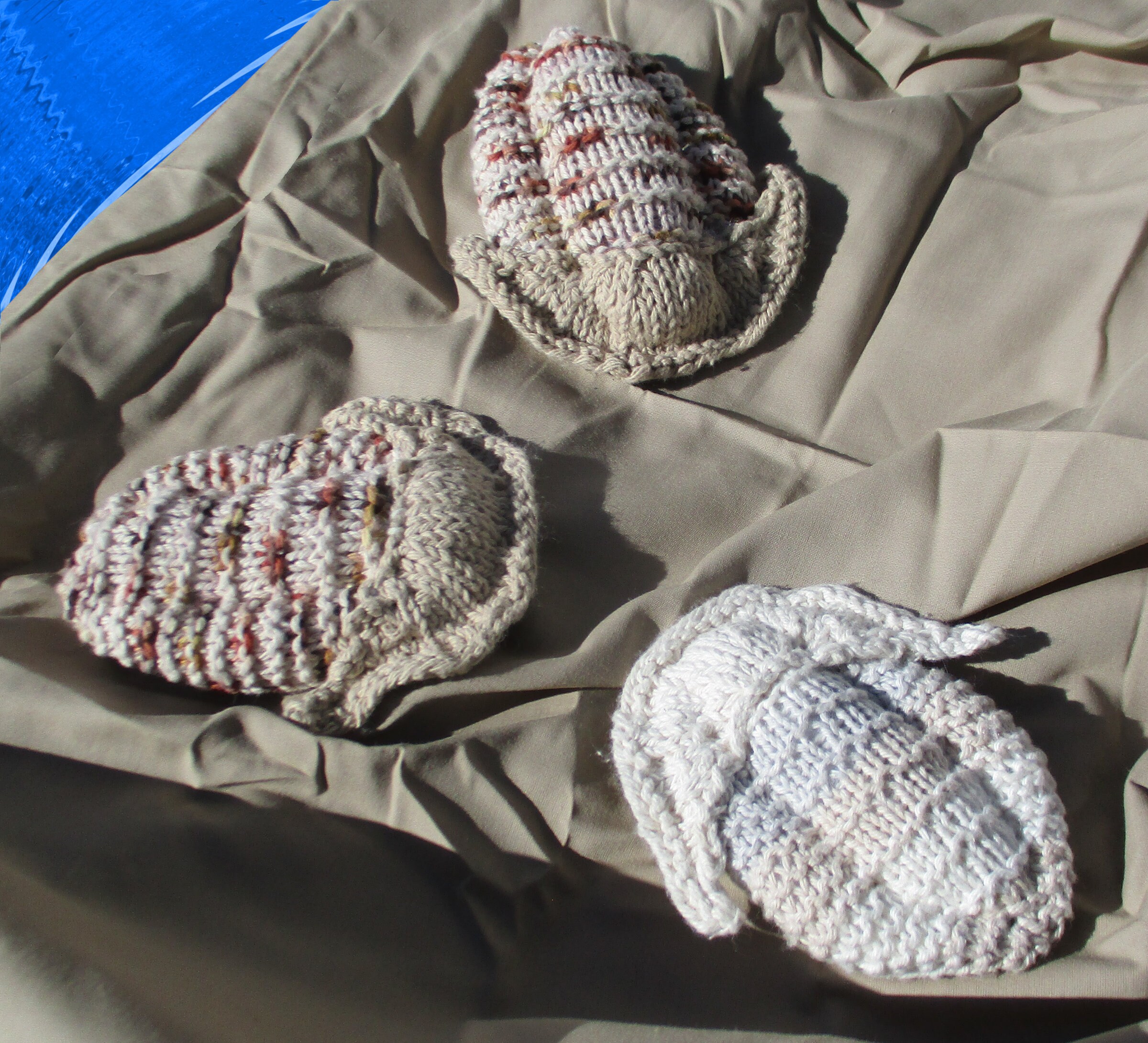 Trilobite Knitting Patterns (3 Sizes) - Etsy