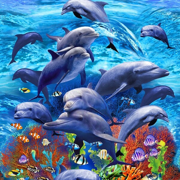 Dolphin Fabric - Etsy
