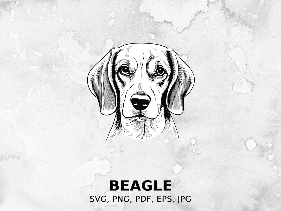 Beagle Svg, Dog Svg File, Pet Svg, Pdf File, Png, Eps File, Cut File ...