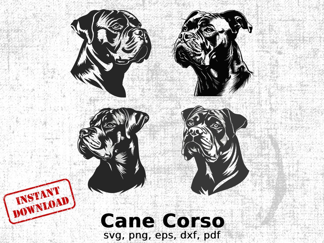 Cane Corso Digital Art Set, Instant Download, Svg Png Eps Dxf Pdf, Dog ...