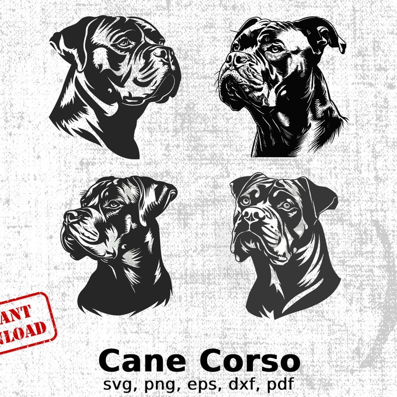 Cane Corso Png - Etsy