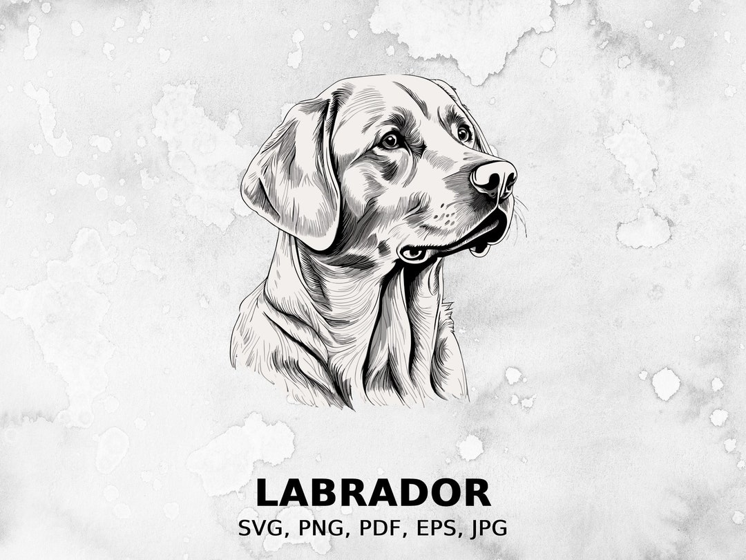 Labrador Svg, Dog Svg File, Pet Svg, Pdf File, Png, Eps File, Cut File ...