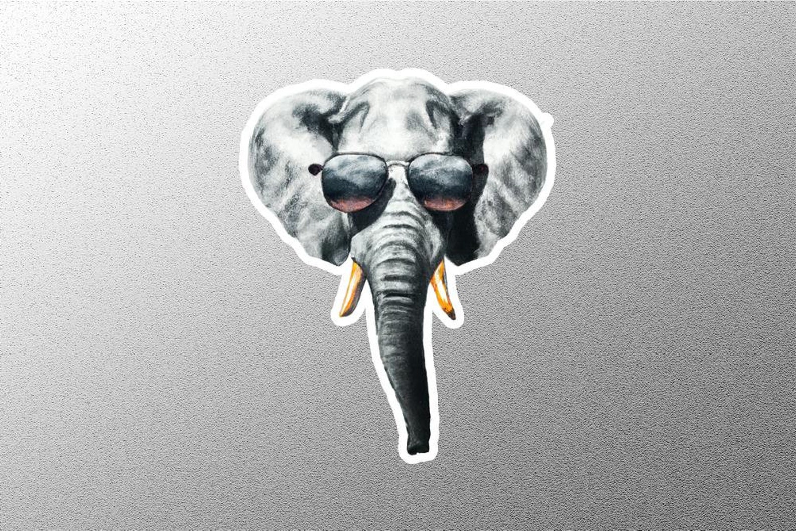Elephant Face Png Elephant Png Cute Elephant Png Elephant - Etsy