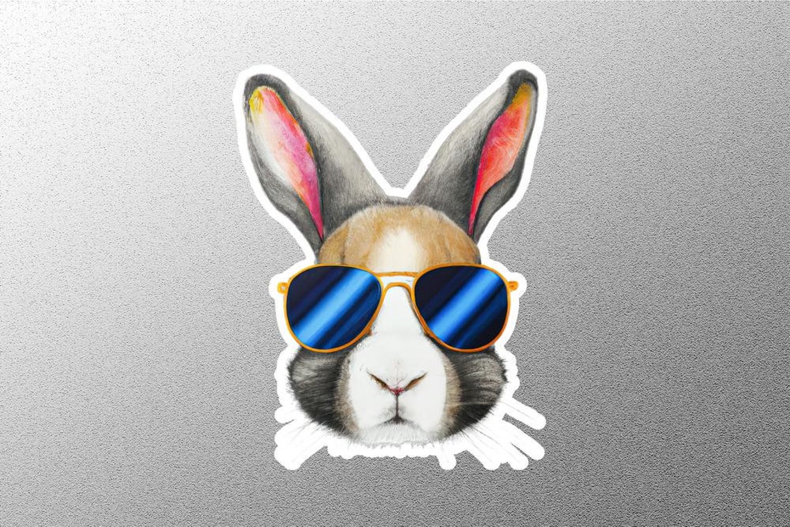 Rabbit Face Png, Rabbit Png, Cute Rabbit Png, Rabbit Lover Png, Rabbit ...