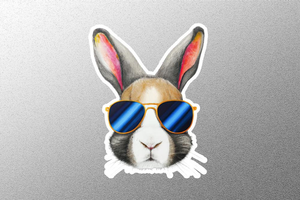 Rabbit Face Png, Rabbit Png, Cute Rabbit Png, Rabbit Lover Png, Rabbit ...