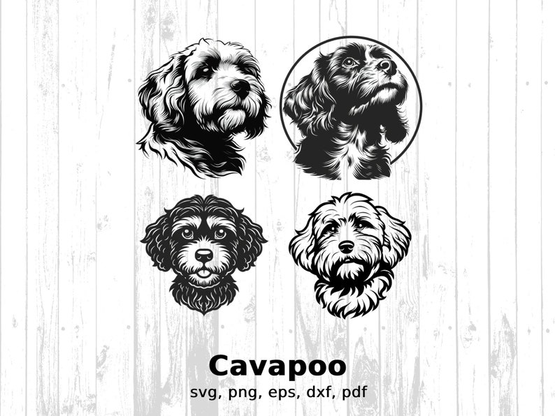 Cavapoo Dog Breed Clipart Bundle, Digital Artwork, Vector Images ...