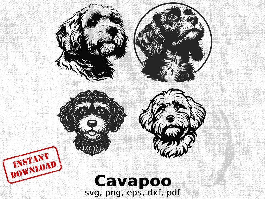 Cavapoo Dog Breed Clipart Bundle, Digital Artwork, Vector Images ...