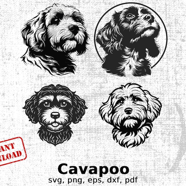 Cancun Mexico Svg, Summer Beach Vacation, Spring Break Png, Eps, Vector ...