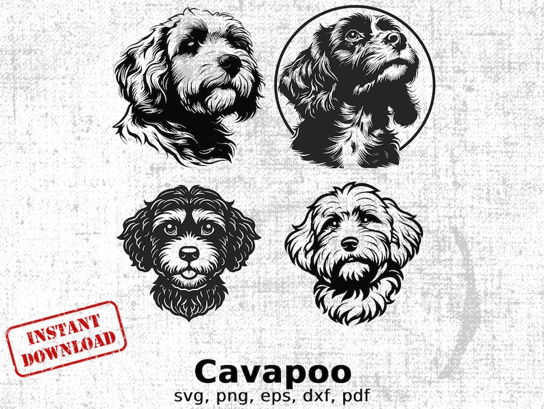 Cavapoo Dog Breed Clipart Bundle, Digital Artwork, Vector Images ...