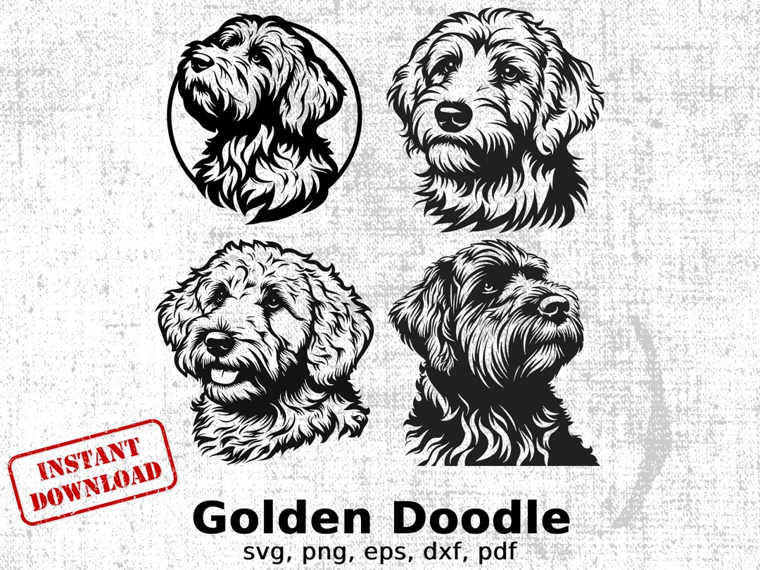 Golden Doodle Clipart, Dog Svg Png Eps Dxf Pdf, Cricut Files, Instant ...