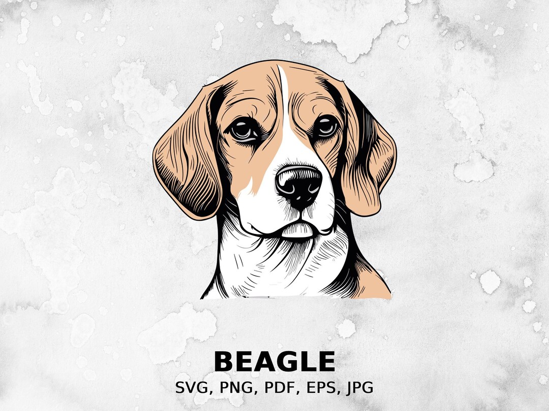 Beagle Svg, Dog Svg File, Pet Svg, Pdf File, Png, Eps File, Cut File ...