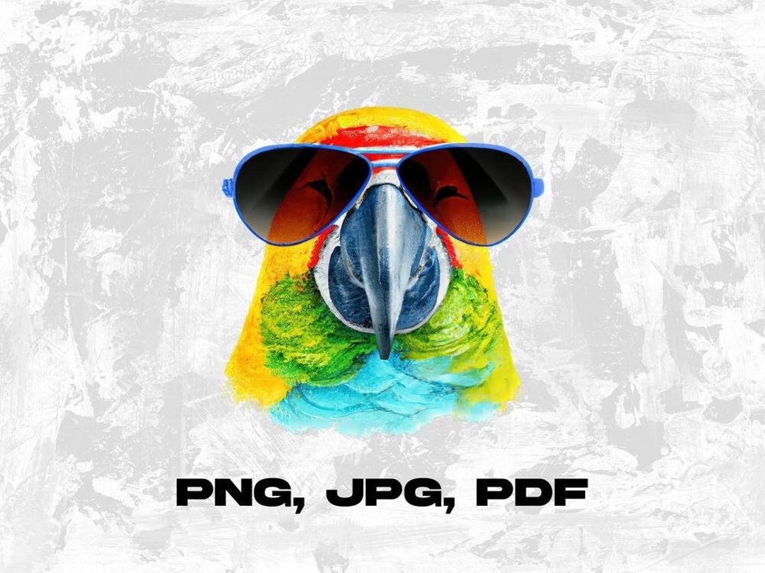 Parrot Face Png, Parrot Png, Cute Parrot Png, Parrot Lover Png, Parrot ...