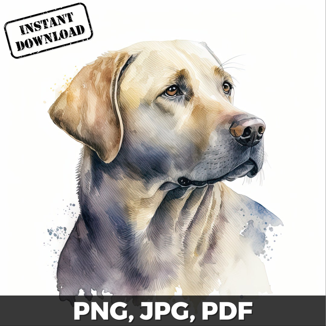 Labrador Retriever Art Print, Labrador Retriever Dog Print, Labrador ...