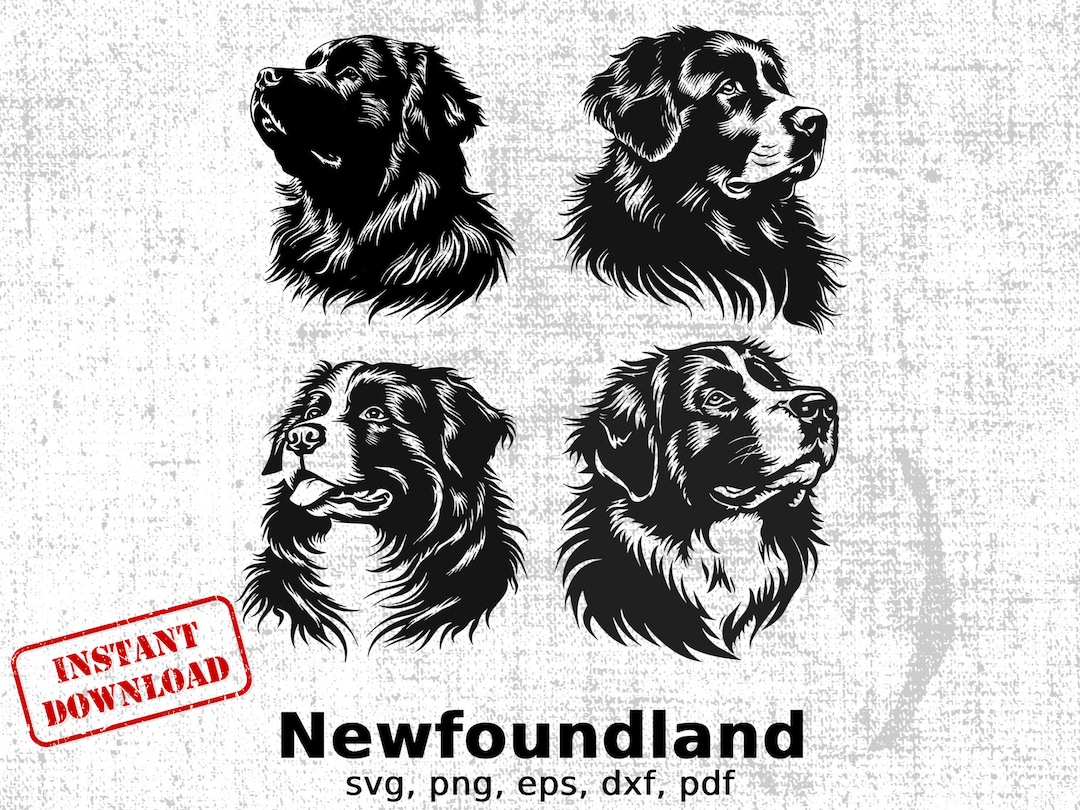 Newfoundland Dog SVG Bundle, Detailed Dog Silhouettes, Instant Download ...