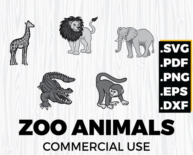 ZOO ANIMALS SVG, Zoo Svg, Zoo Animal Svg, Alligator Svg, Monkey Svg ...