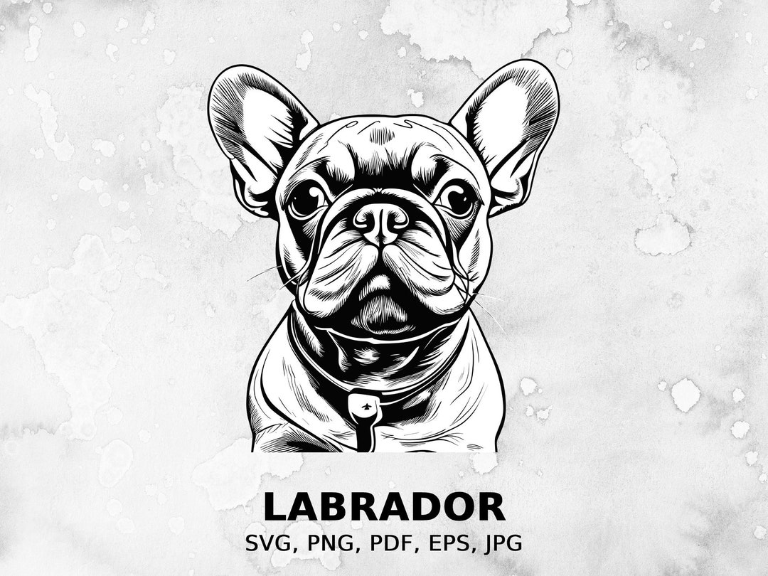 French Bulldog Svg, Dog Svg File, Pet Svg, Pdf File, Png, Eps File, Cut ...