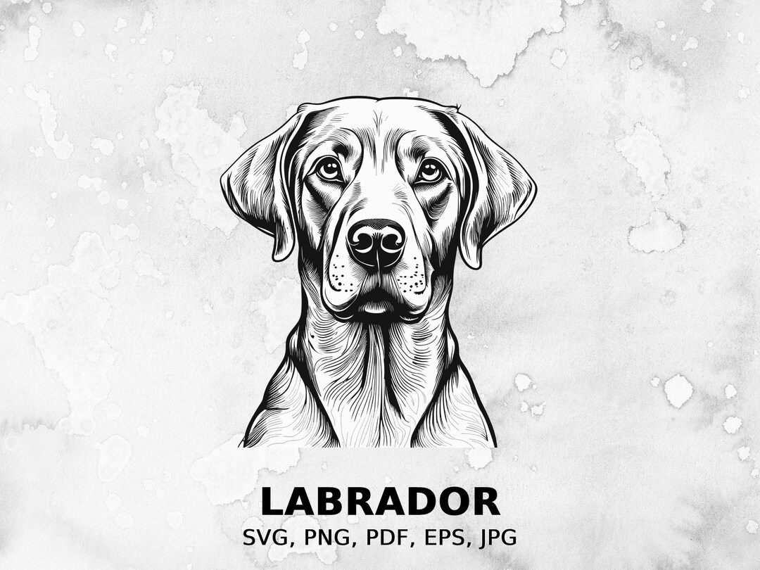 Labrador Svg, Dog Svg File, Pet Svg, Pdf File, Png, Eps File, Cut File ...