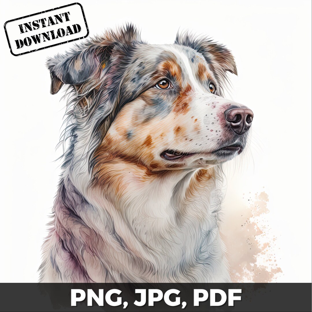 Australian Shepherd Art Print, Australian Shepherd Dog Print ...