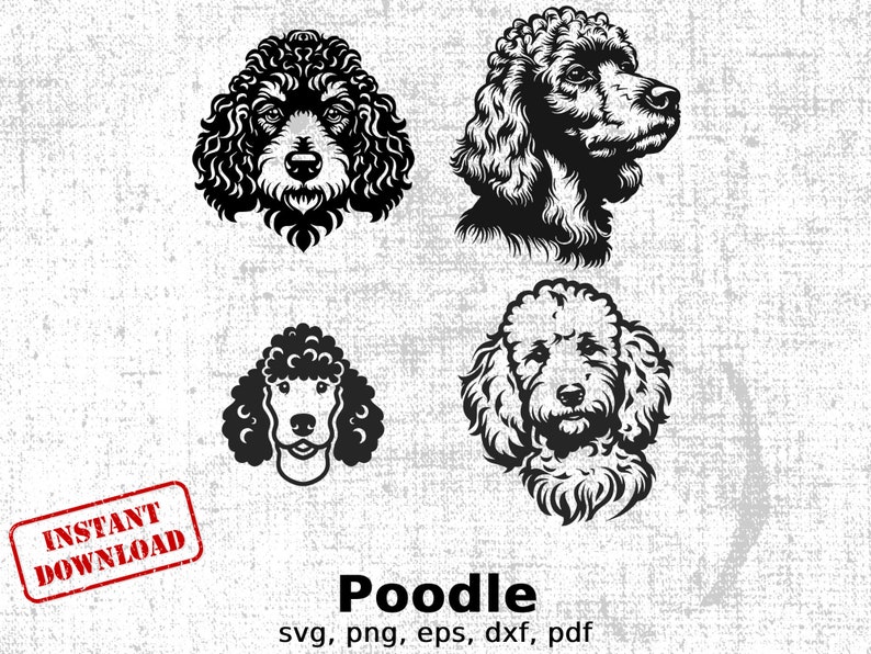 Poodle Dog SVG Digital Clipart, Instant Download Poodle Svg, Png, Eps ...