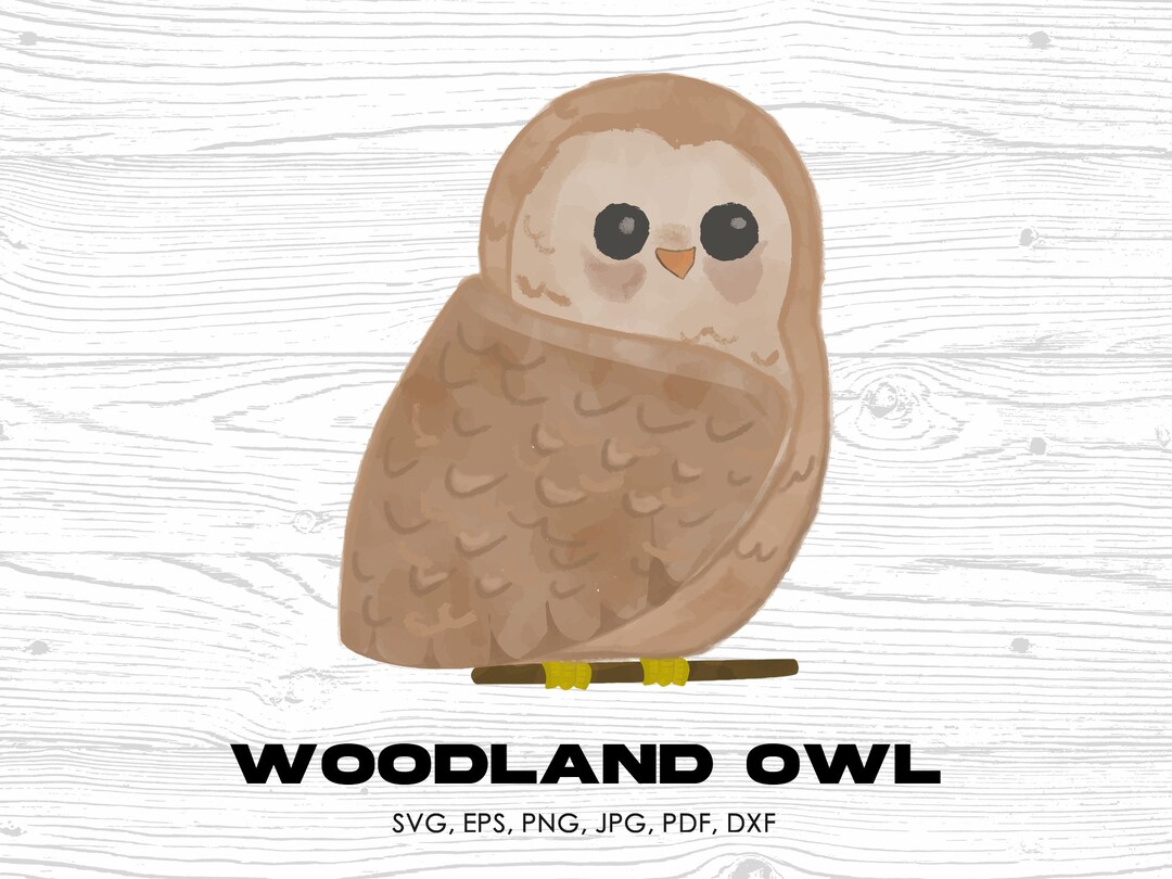 Woodland Animals, Owl Svg, Png, Jpg, Pdf, Eps, Dxf | Nature, Watercolor ...