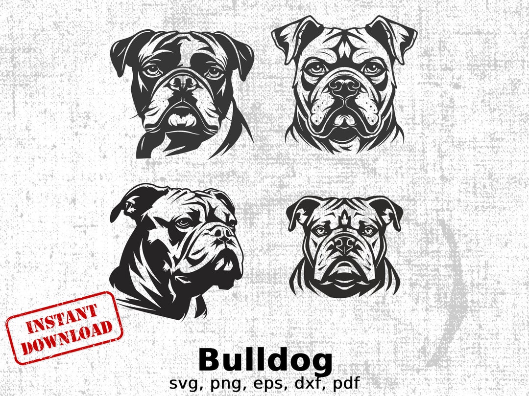 Bulldog Clipart Bundle, Instant Download, Digital Bulldog Illustrations ...