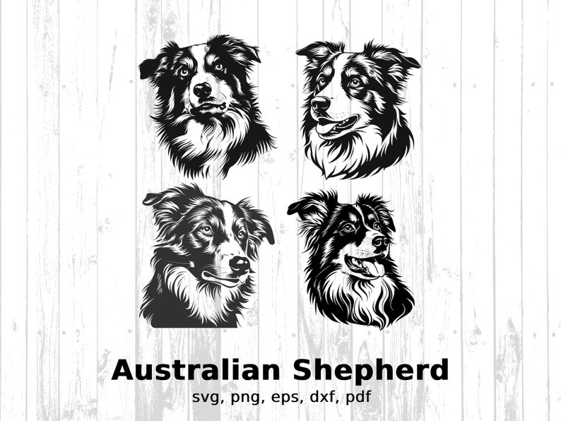 Australian Shepherd Svg Clipart, Dog Svg Files for Cricut, Eps Dxf Png ...