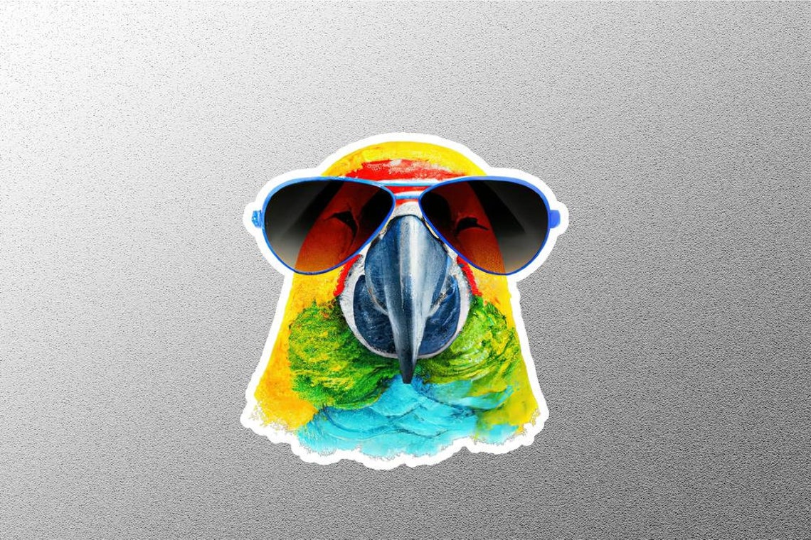 Parrot Face Png, Parrot Png, Cute Parrot Png, Parrot Lover Png, Parrot ...