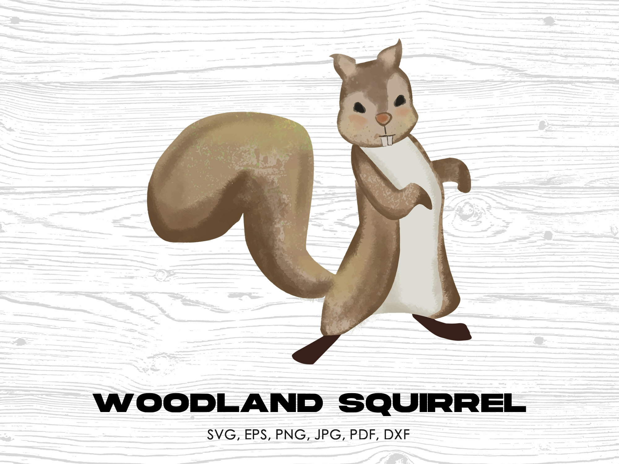Woodland Animals, Squirrel Svg, Png, Jpg, Pdf, Eps, Dxf Nature ...