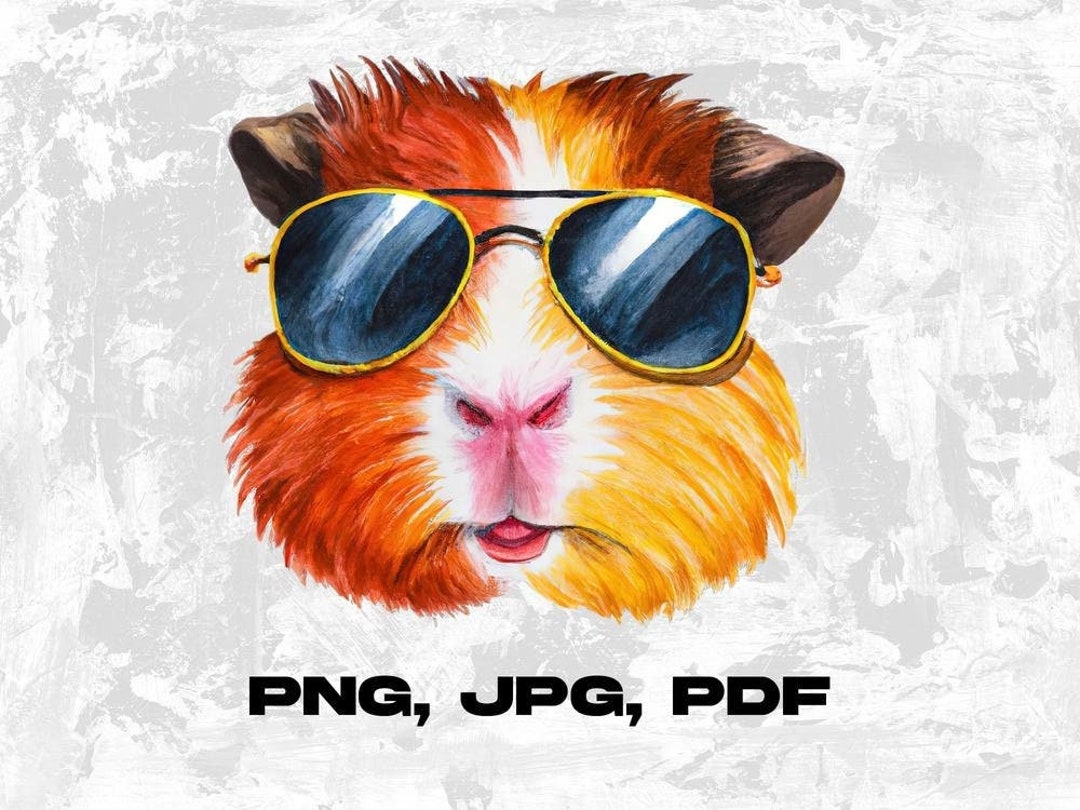 Guinea Pig Face Png, Guinea Pig Png, Cute Guinea Pig Png, Guinea Pig ...