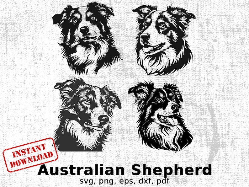 Australian Shepherd Svg Clipart, Dog Svg Files for Cricut, Eps Dxf Png ...