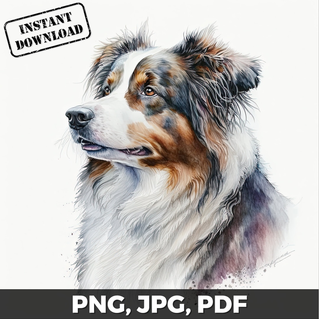 Australian Shepherd Art Print, Australian Shepherd Dog Print ...