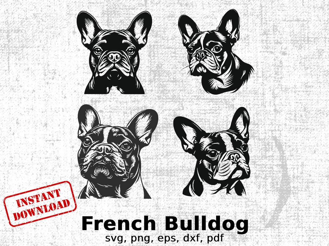 French Bulldog Svg Designs, Frenchie Dog Clipart, Bulldog Head Vector ...