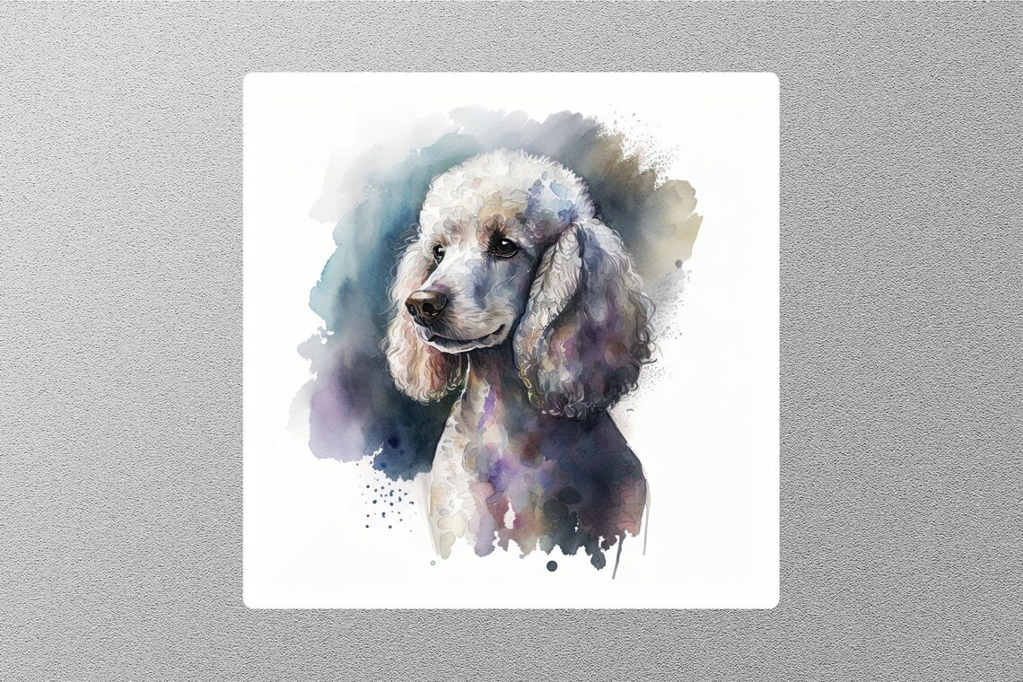 Poodle Art Print, Poodle Dog Print, Poodle Watercolor, Poodle Png, Pdf ...