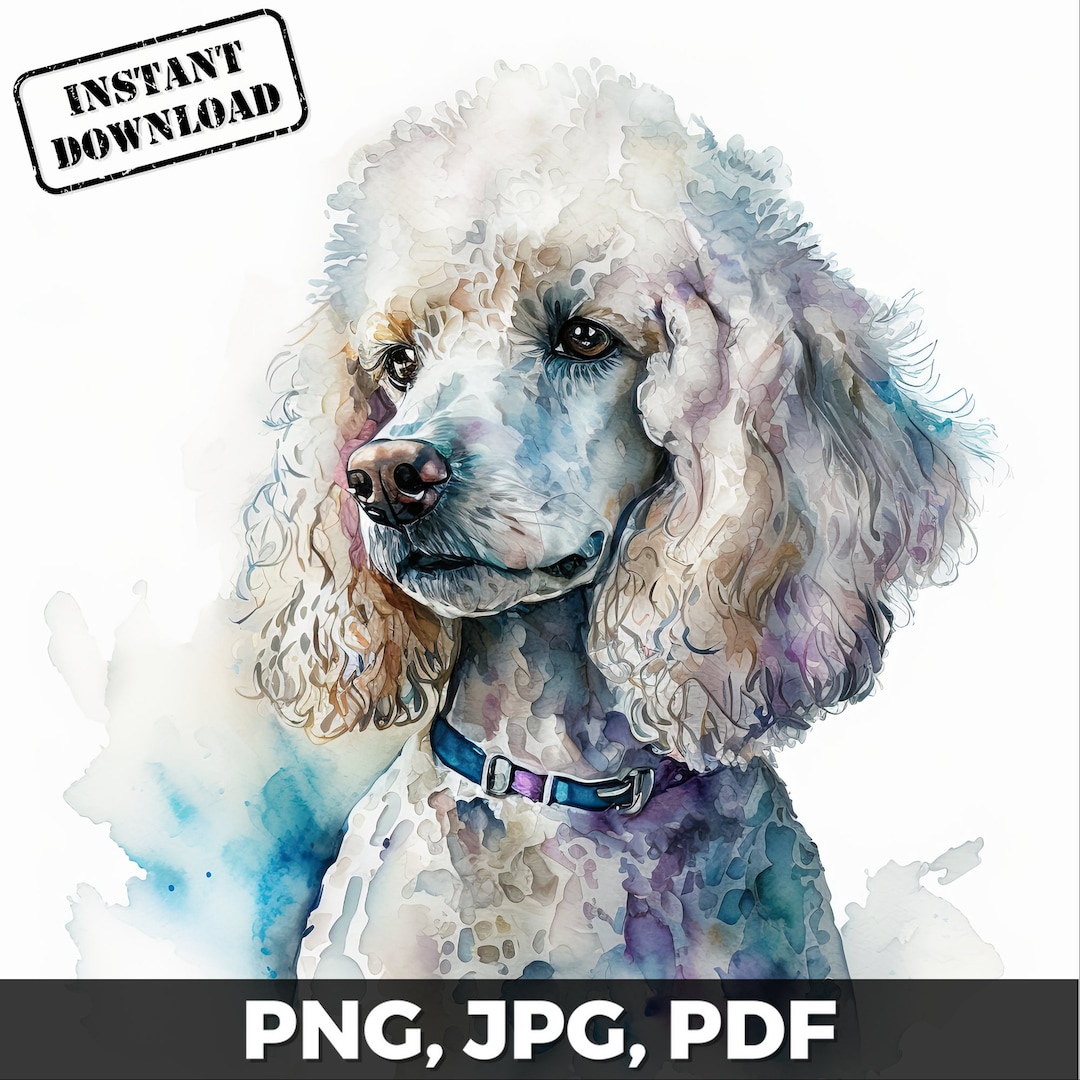 Poodle Art Print, Poodle Dog Print, Poodle Watercolor, Poodle Png, Pdf ...
